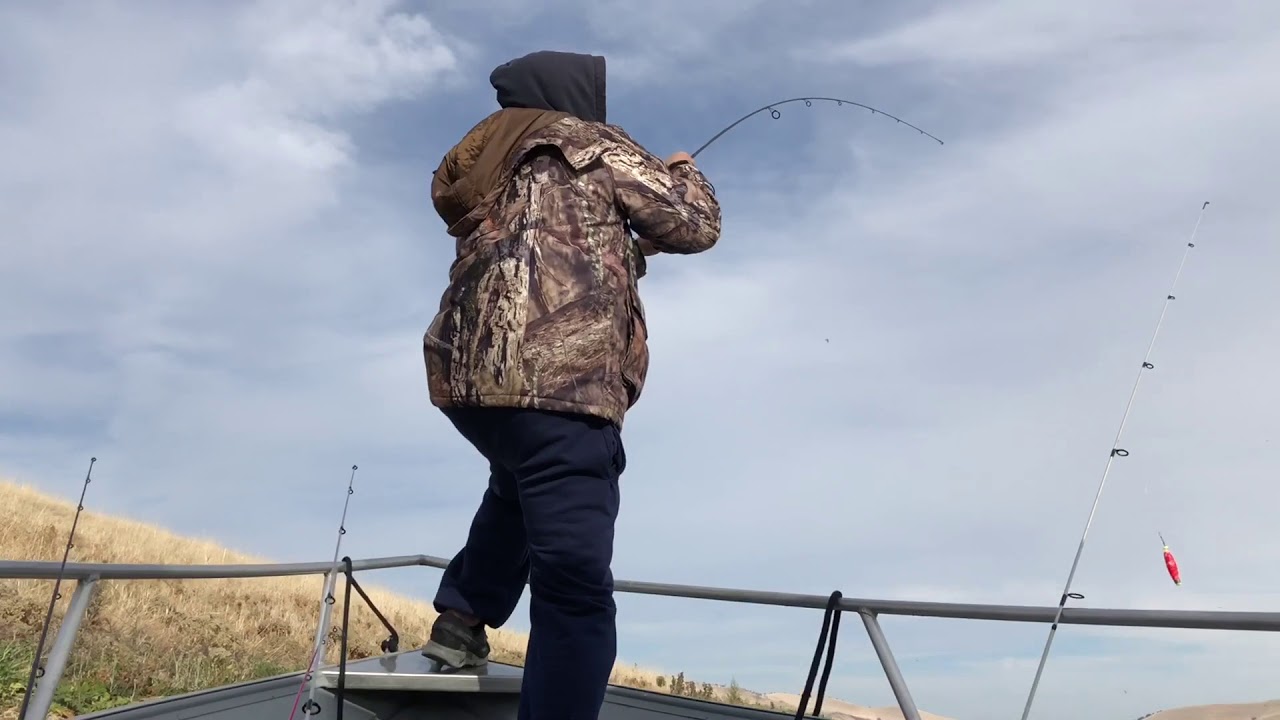 Catching a whopper trout at Los Vaqueros - YouTube
