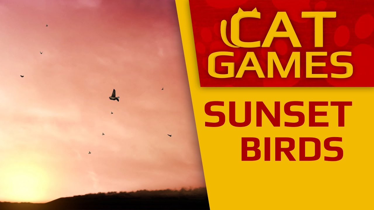 CAT GAMES - Sunset Birds (Version for big screens) 1 Hour 4K - YouTube