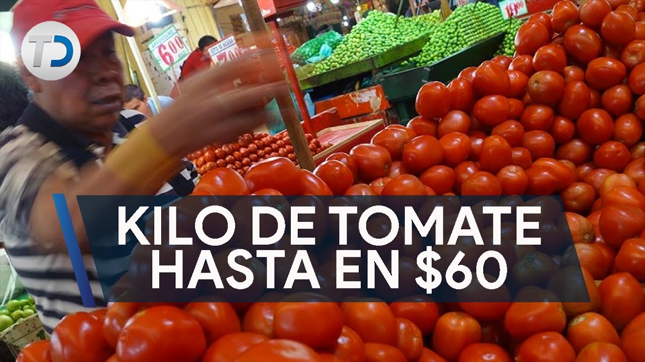 Kilo de tomate alcanza hasta los 60 pesos - YouTube