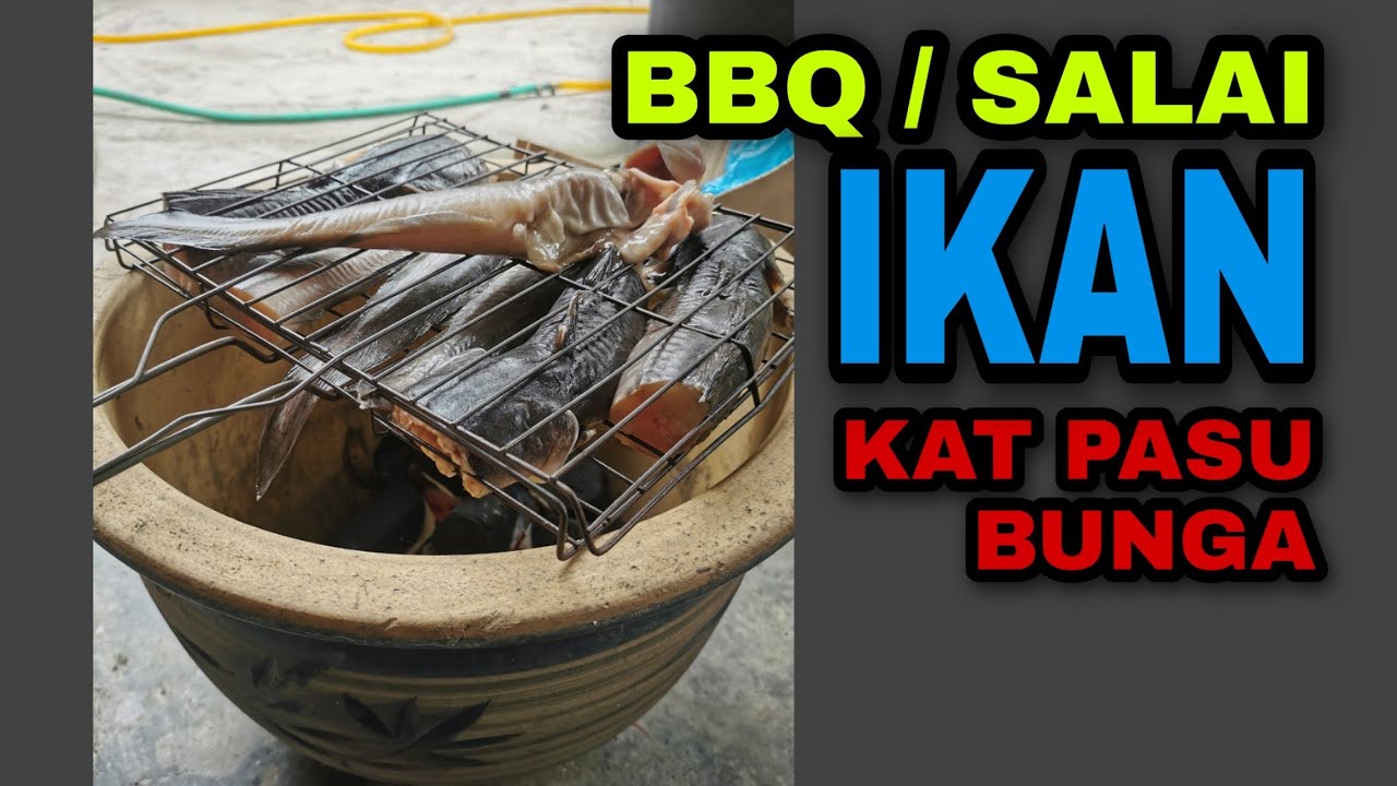 BBQ IKAN / SALAI IKAN DI PASU BUNGA _ TIPS BAKAR ARANG DENGAN MUDAH ...