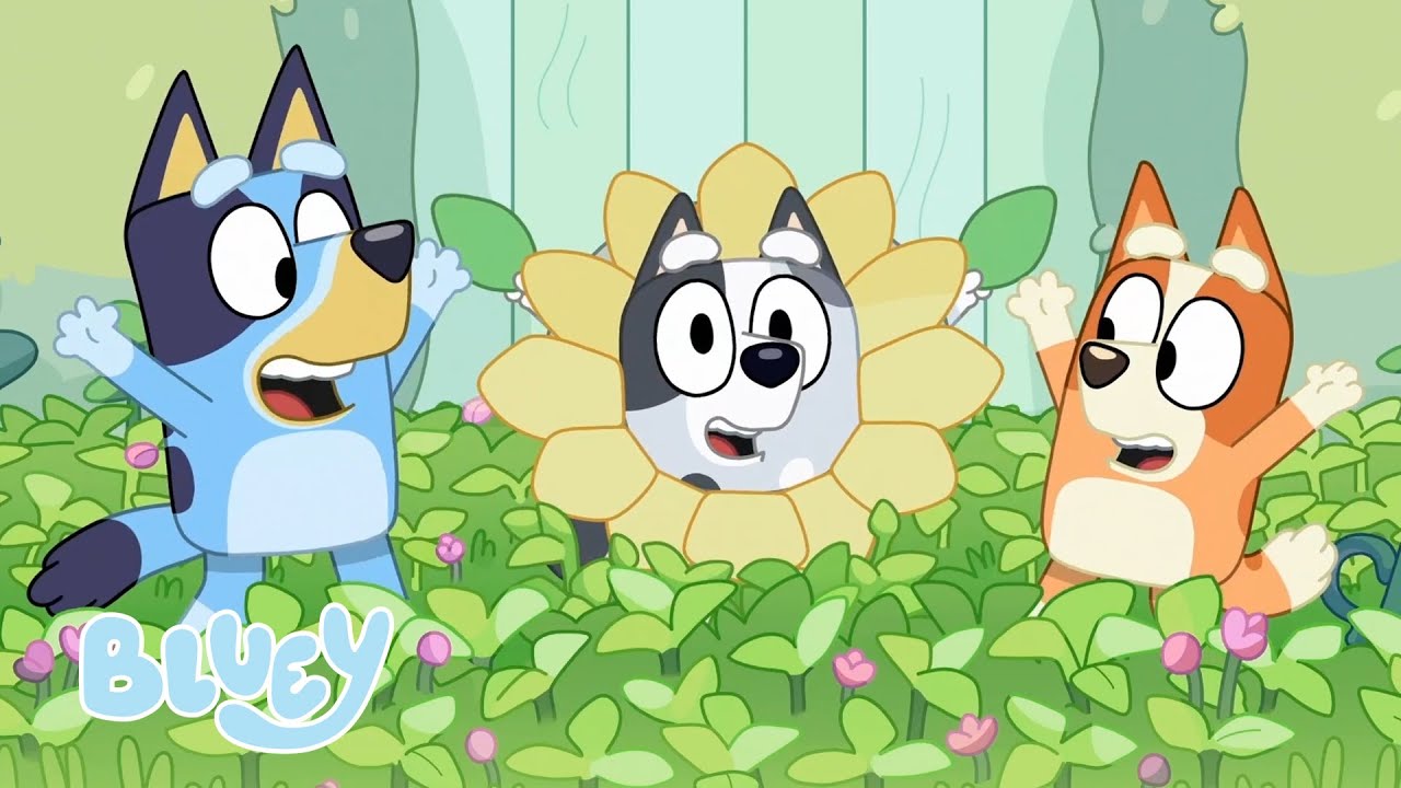 Moments de jeu imaginatifs dans Bluey | Bluey Français Chaîne ...