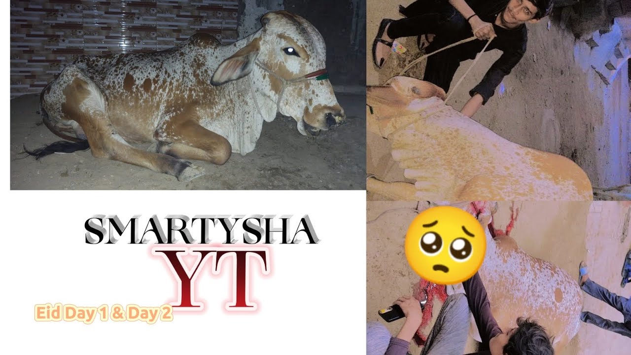 Eid Day 1 & Day 2 |Eid Mubarak | SYED HUNAIN ALI | Thora Let Hogya Vlog ...