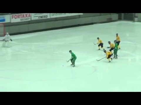 Bandy/Хоккей с мячом/Sweden # 18 Vine