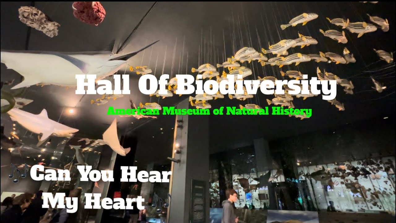 American Museum of Natural History | Hall of Biodiversity - YouTube