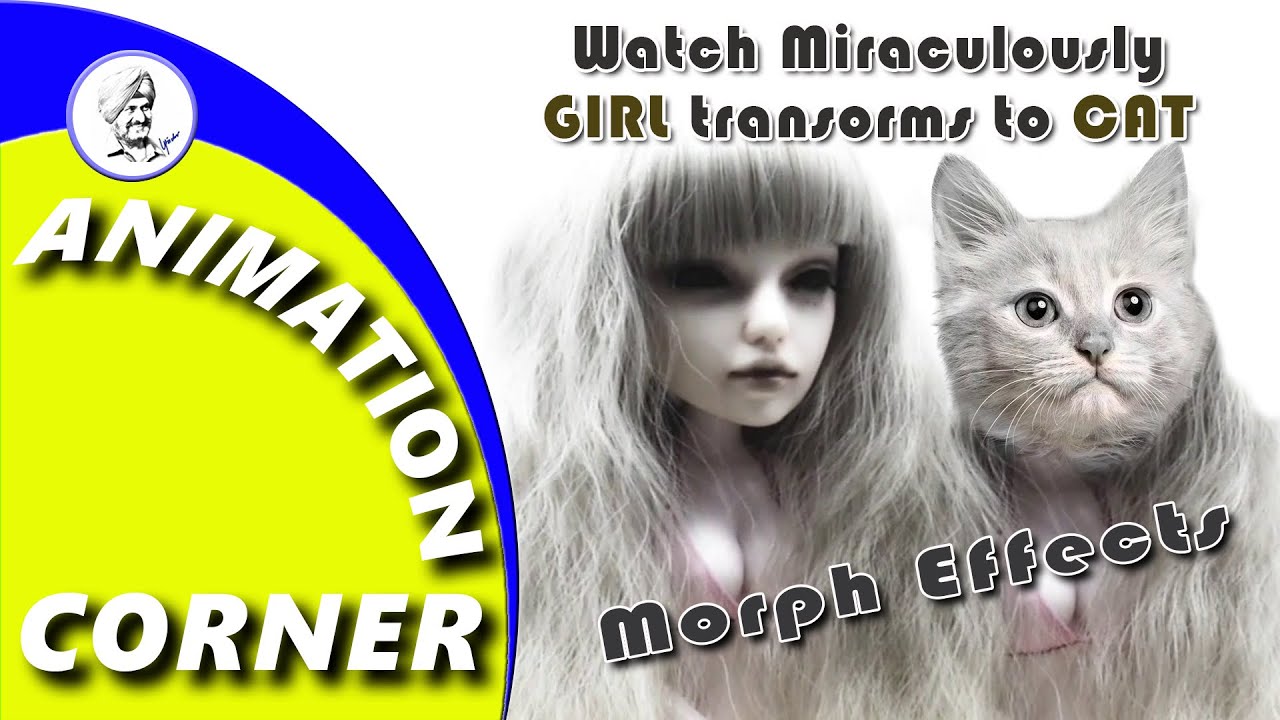 Watch miraculously GIRL transforms to CAT in MORPH EFFECTS Animation ...