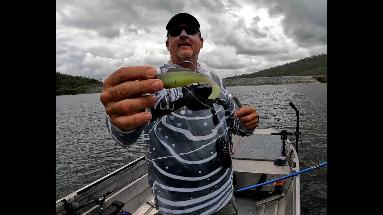 Barra is feeding at Peter Faust Dam Lake Proserpine 😍 - YouTube