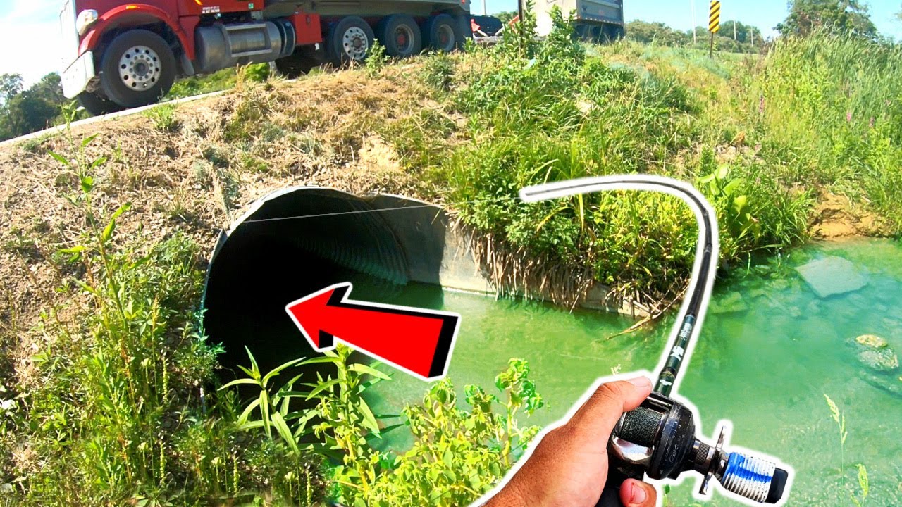 GIANT FISH are LOADED Inside Underground Tunnel!! (INSANE) - YouTube