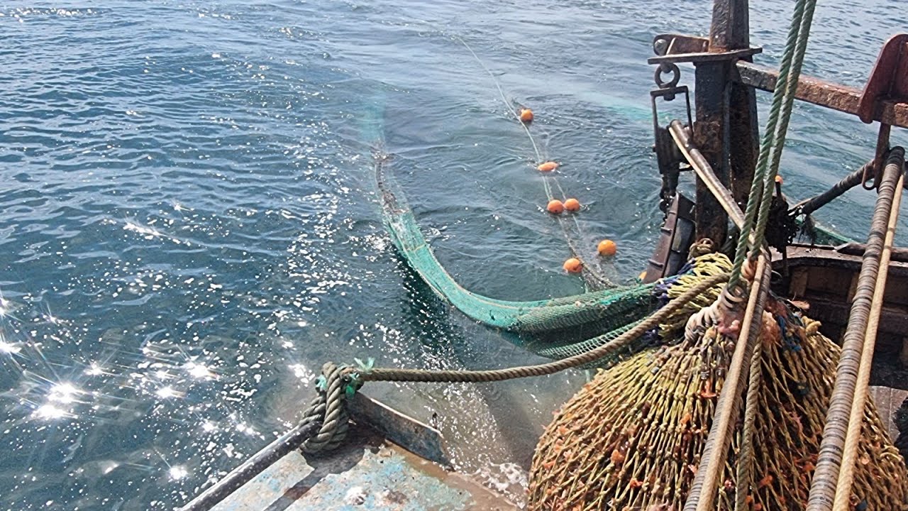 Prawn Twin Rig Trawling on the Firth of Clyde #firthofclyde #prawns # ...
