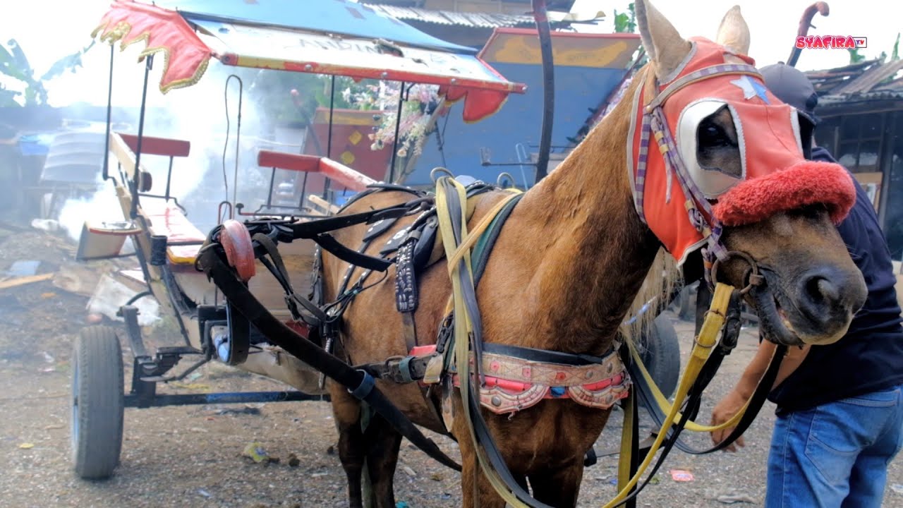 NAIK KUDA DELMAN LAGU SHOLAWAT TAKBIRAN EID MUBAROK 🔴 KUDA 🔴 KUDA ...