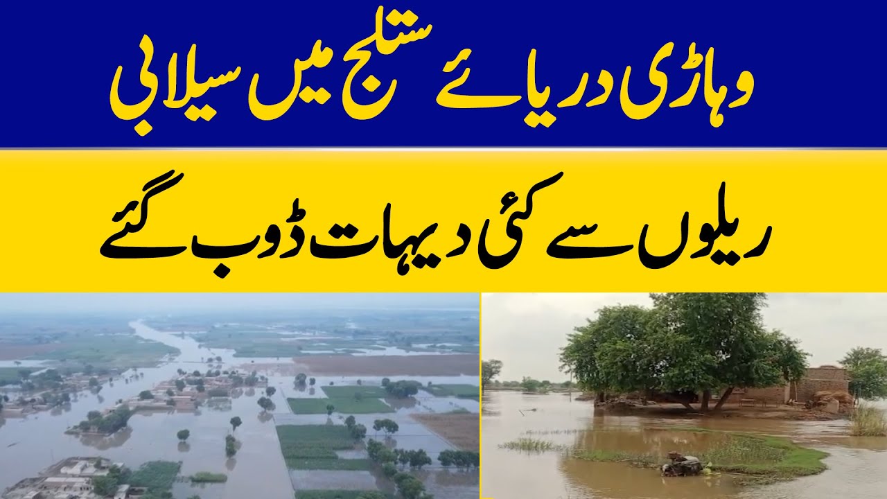 Several Villages Submerged by Floodwaters in The Sutlej River in Vehari | Dawn News - YouTube