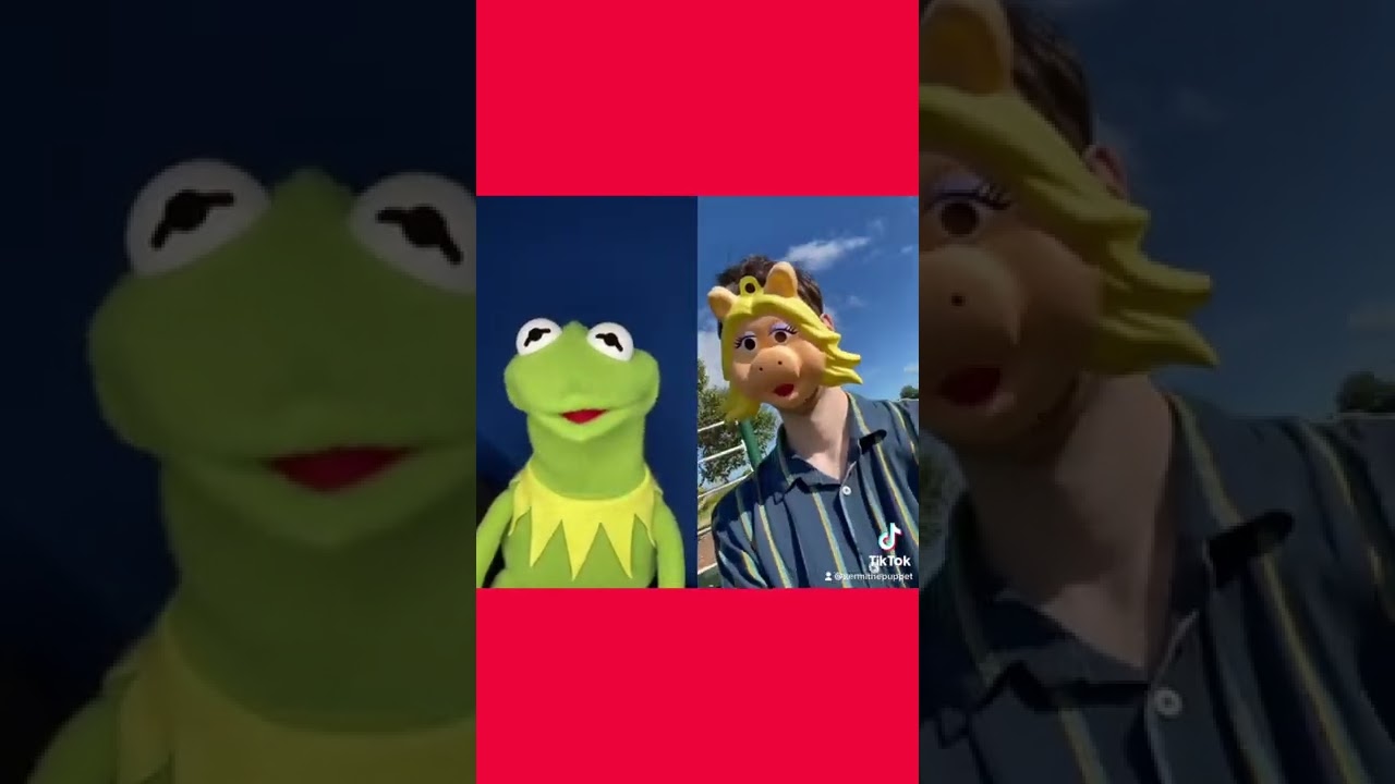 Kermit The Frog Reacts To Bad Kermit The Frog On Tiktok Youtube