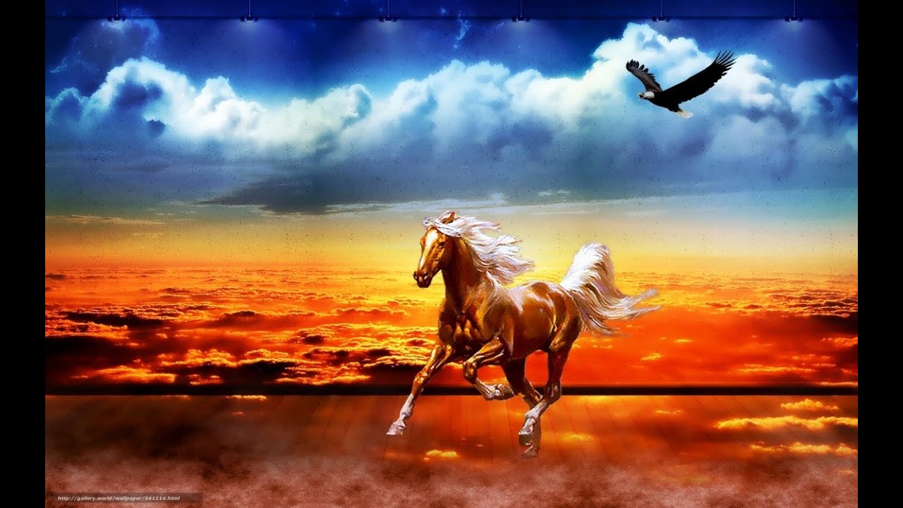 ~Today is World Compliment Day! Today I will give you a Super ...