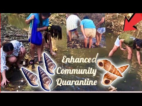 SUSO SHELL PICKING SA SAPA (lake) - YouTube