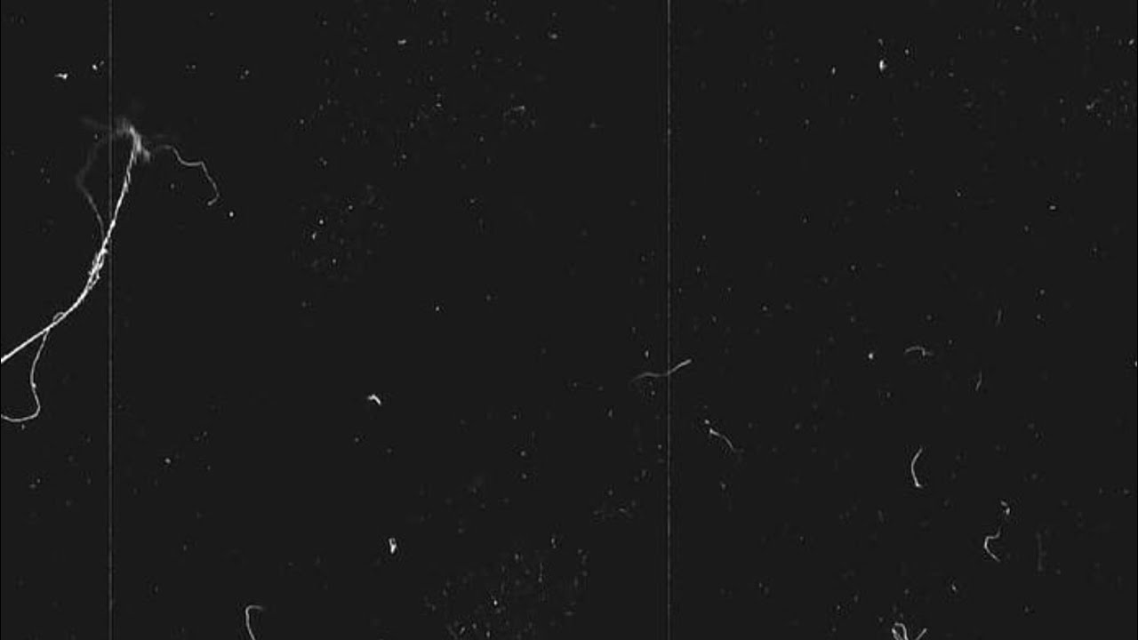 noise, dust and scratch black screen overlay background footage for video editing ...