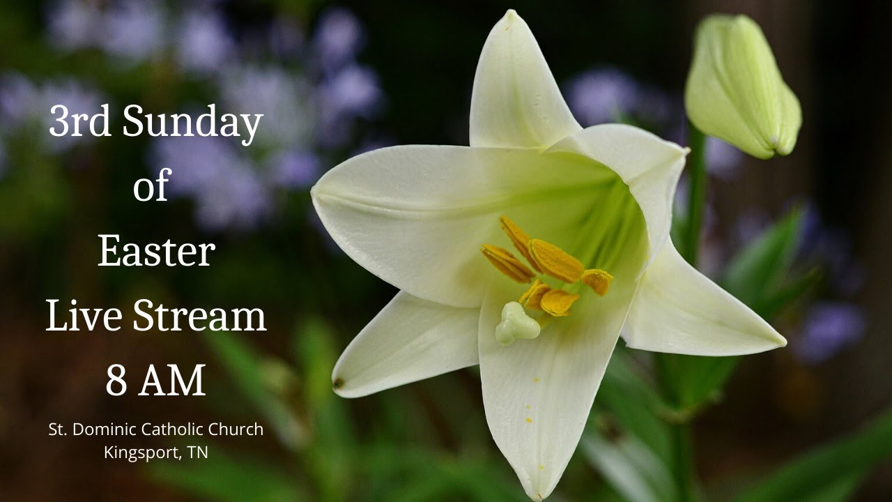 3rd Sunday of Easter - Mass - YouTube