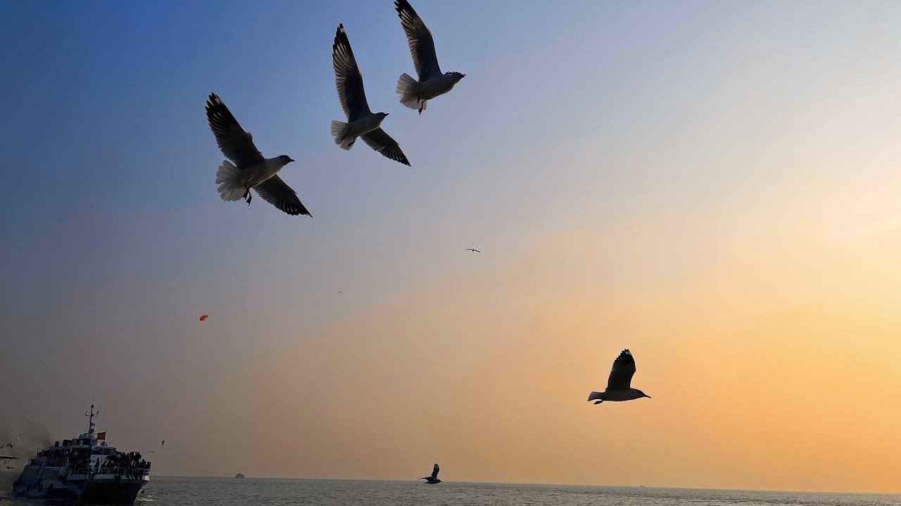 Sent Martin Tour 2022 - YouTube