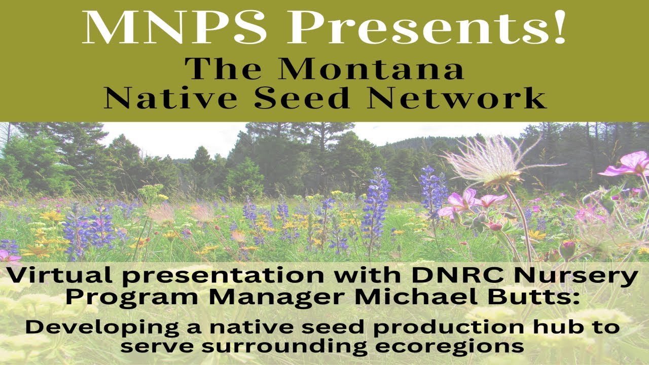 MNPS Presents! The Native Seed Network - YouTube