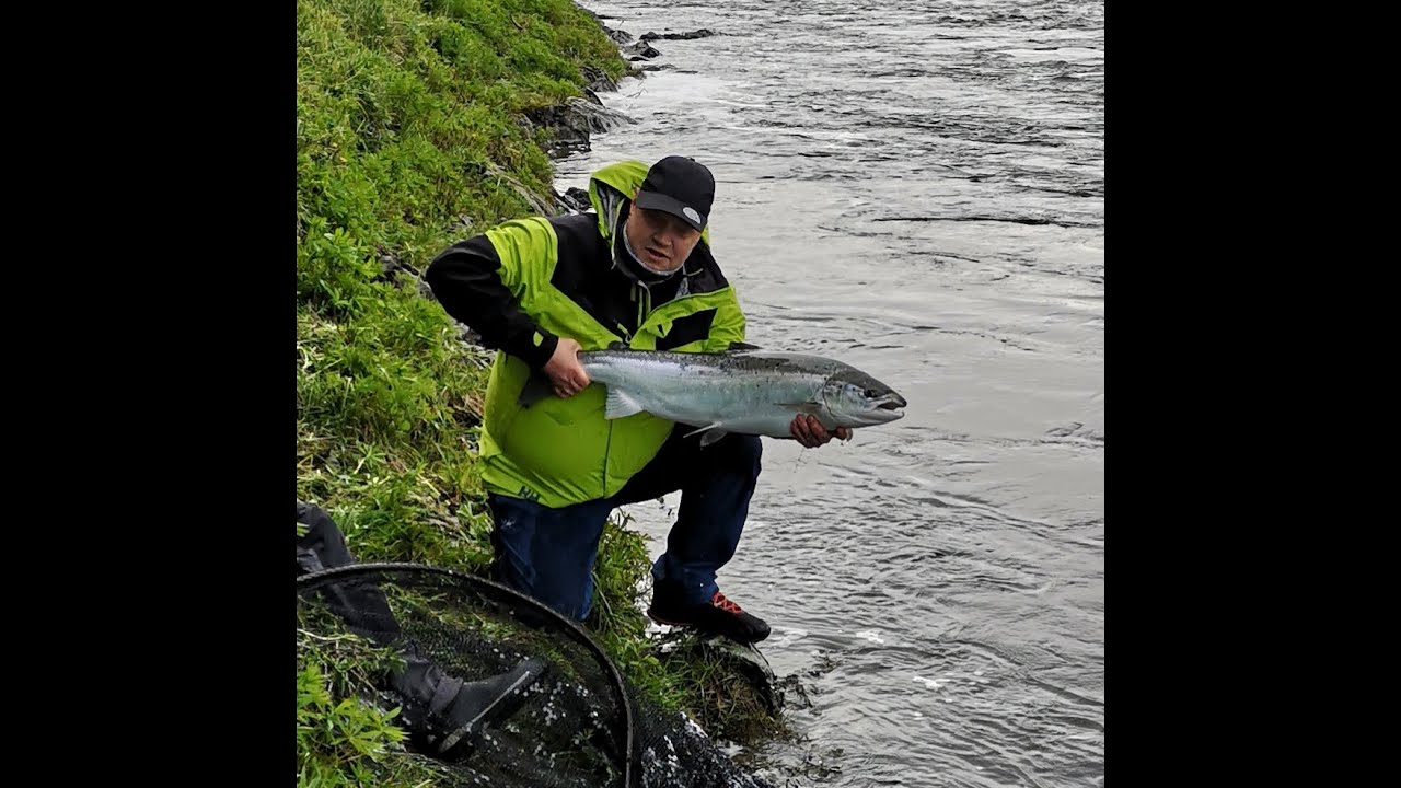 Hårstad`s Laks på 8,7 kg Gaula 2019 - YouTube
