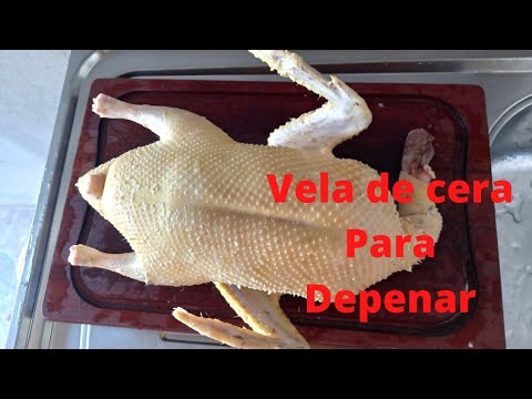 Como depenar p@to de um jeito simples no nosso cantinho da roça