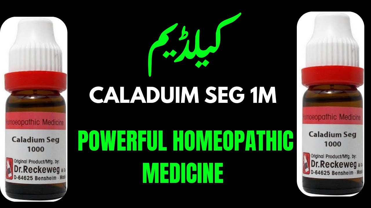 Caladium seg 1000 uses | Caladium seg Homeopathic medicine | homeoDrG.m ...