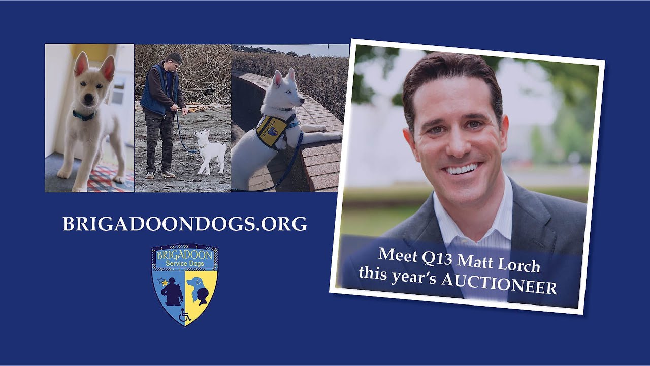 Brigadoon Service Dogs 17th Annual Gala Program & Live Auction - YouTube