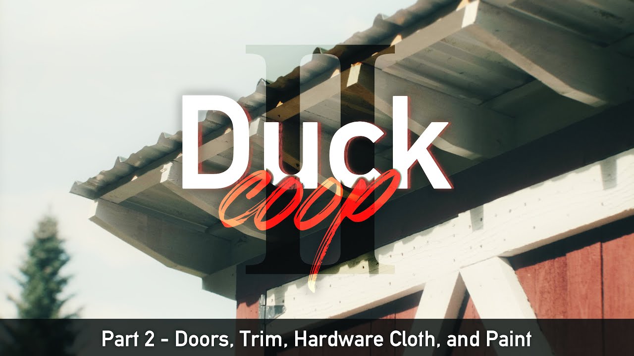 Building A Home For Our Ducks: Part Two - DIY Duck Coop - YouTube