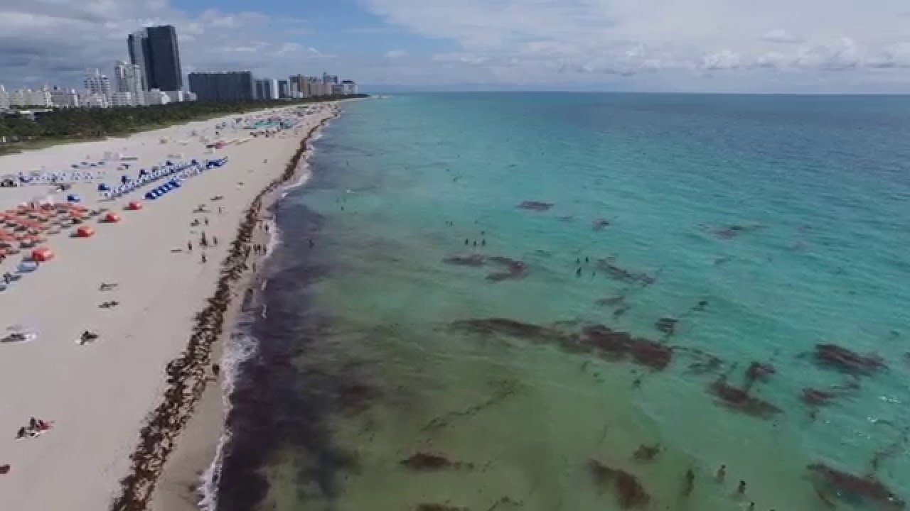 DJI Phantom 3 Professional 4K Miami Beach Day - YouTube