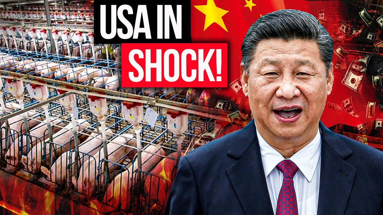 China's REVOLUTIONARY $4 Billion Pig Farm Built in China - YouTube
