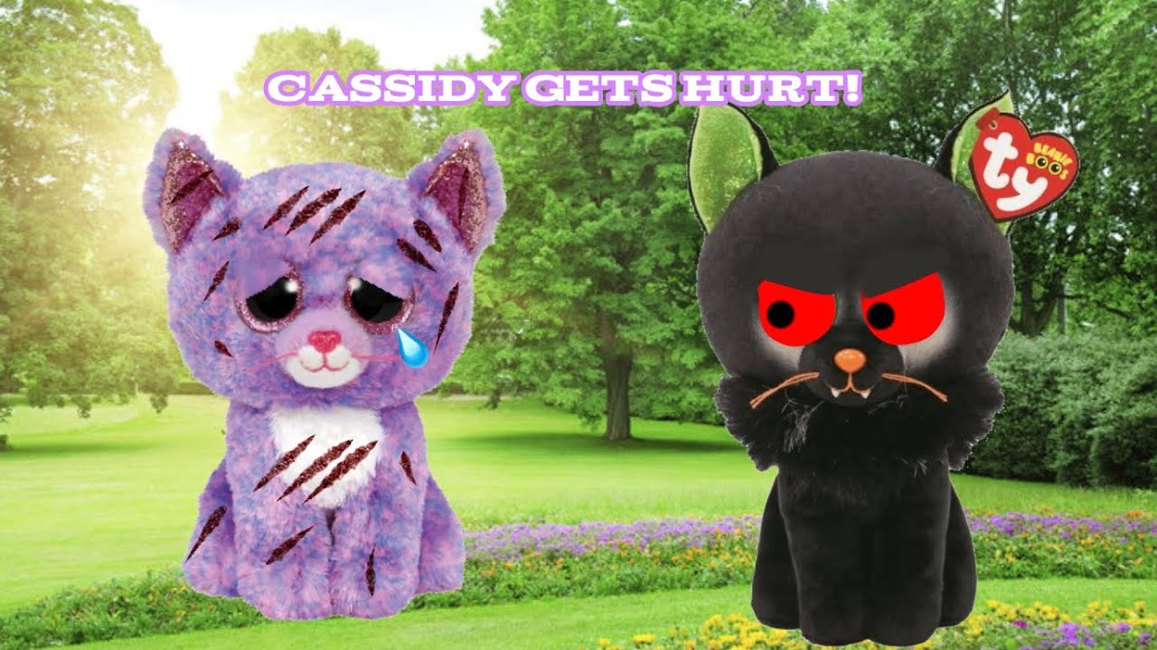 Beanie Boo Fun || Cassidy Gets Hurt!! || Scary Monster - YouTube