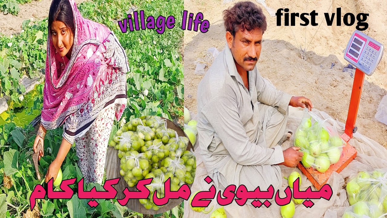 first vlog||village life||shahzadi kanwal village - YouTube