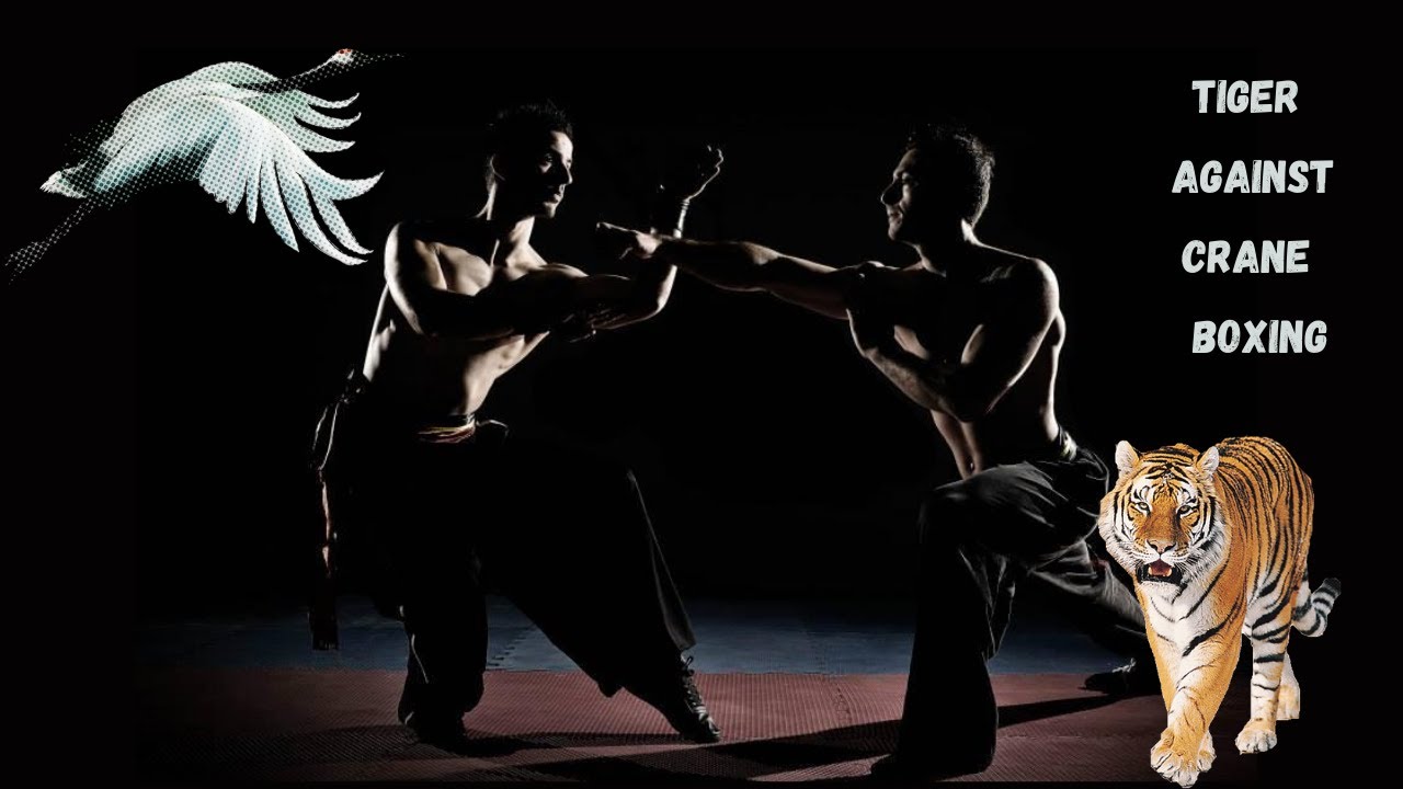 洪家拳 Traditional Hung Gar aplications "Tiger against Crane". - YouTube