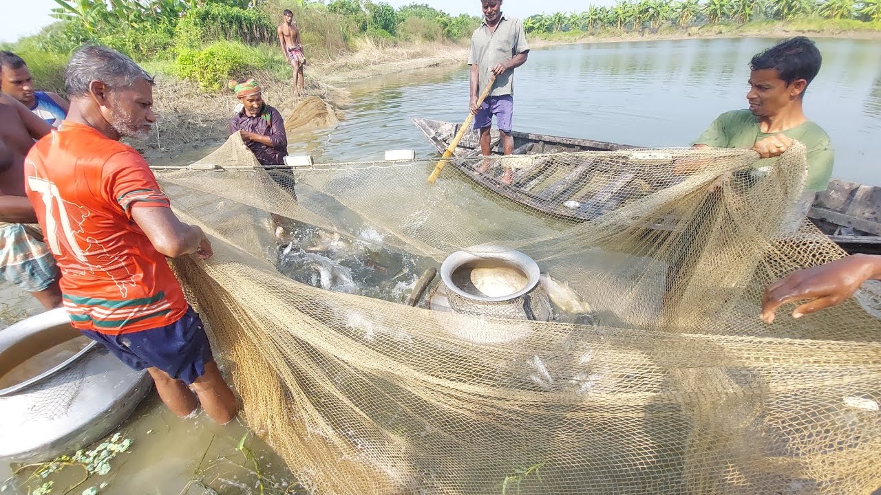 Best Net Fishing Big Fish with Bamboo Tools | Net Fishing Video # ...