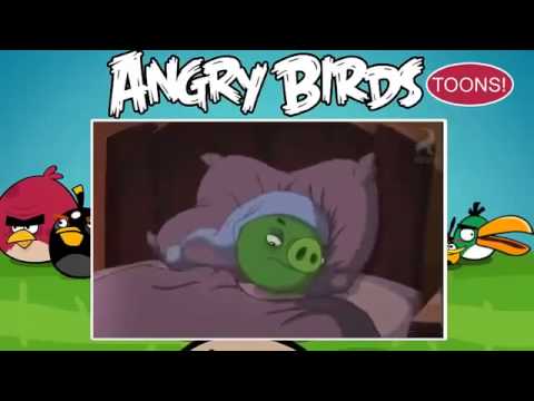 Angry Birds Toon tagalog - YouTube