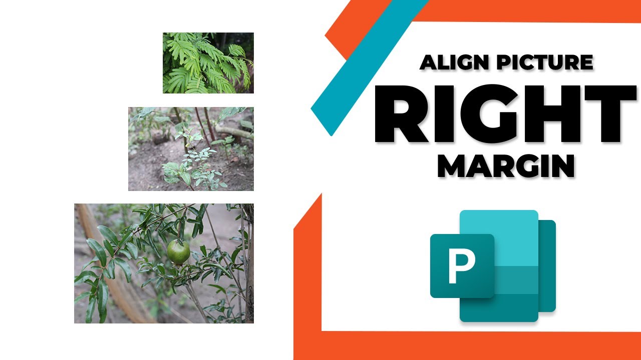 How to align a picture on right side of page in Publisher - YouTube