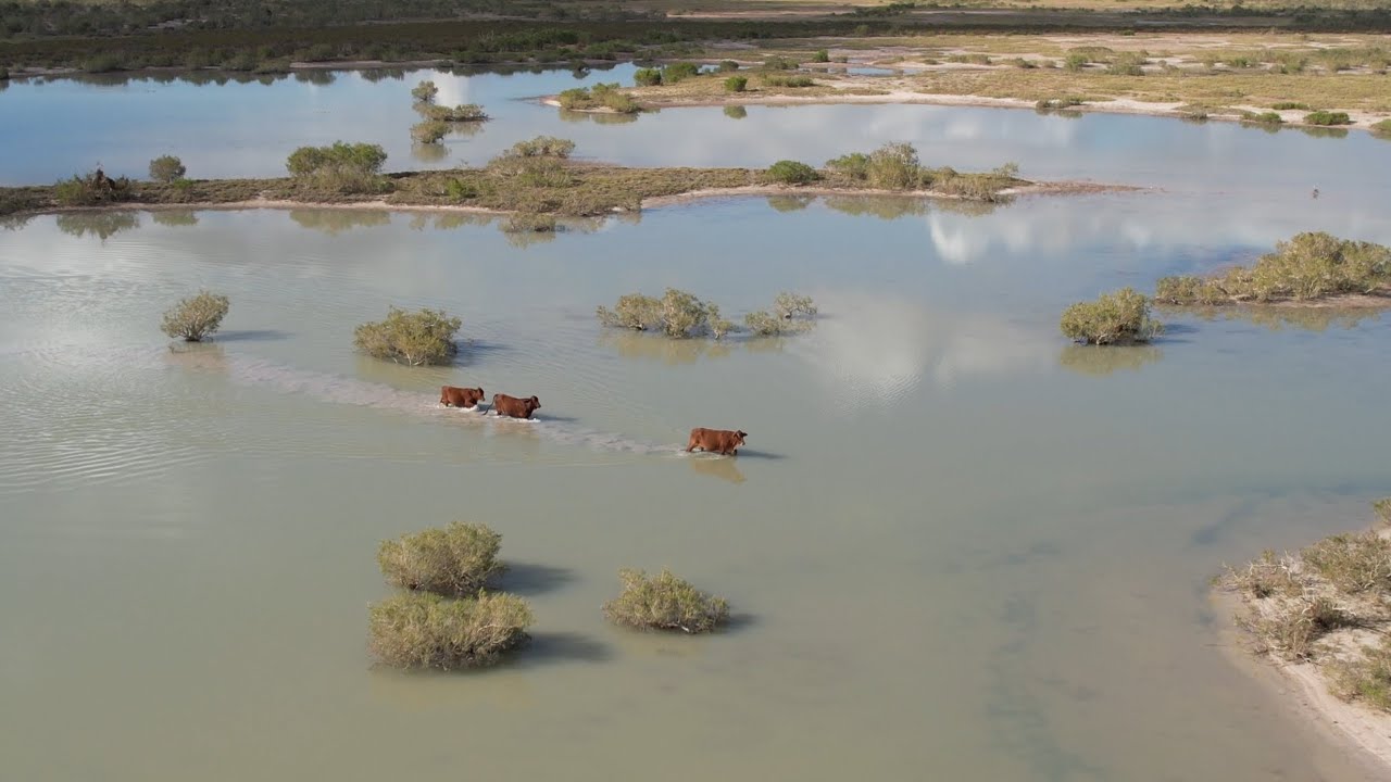 Rav 4 goes bush to Broome - YouTube