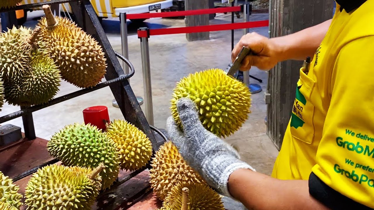 Famous Durian Shop in Malaysia 🇲🇾 - YouTube