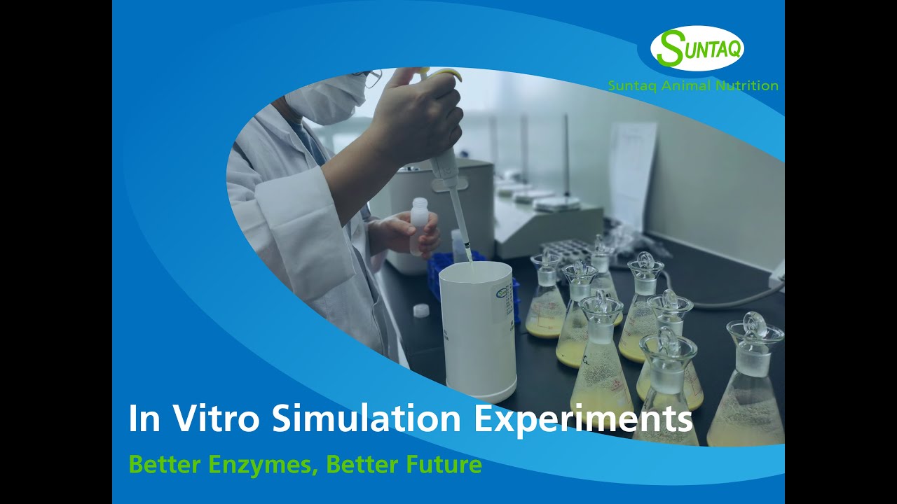 In Vitro Simulation Experiments - YouTube