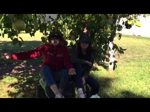 Photosynthesis rap OFFICIAL VIDEO - YouTube