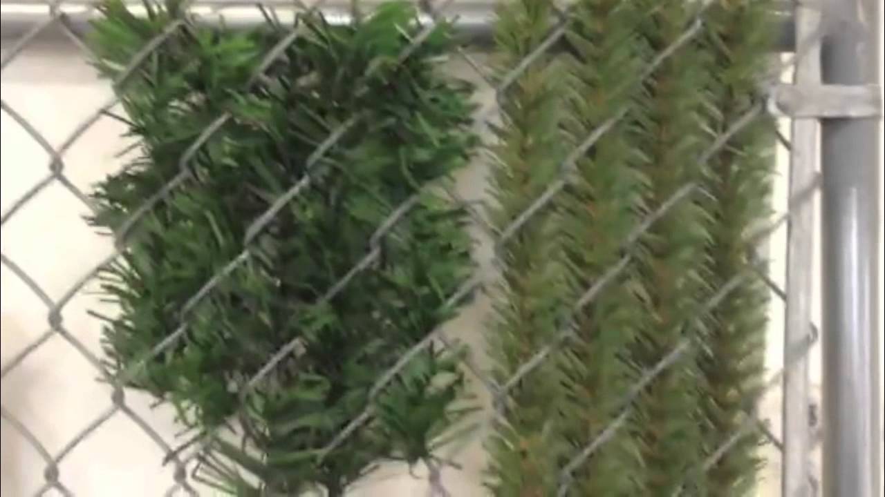 ForeverGreen Hedge Slats vs Dura Hedge Slats - YouTube