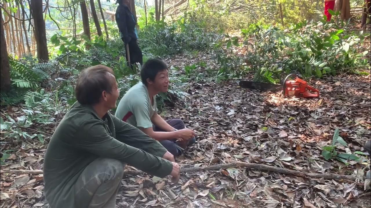 Hnub no mus luaj teb /4/3/. 2025 - YouTube