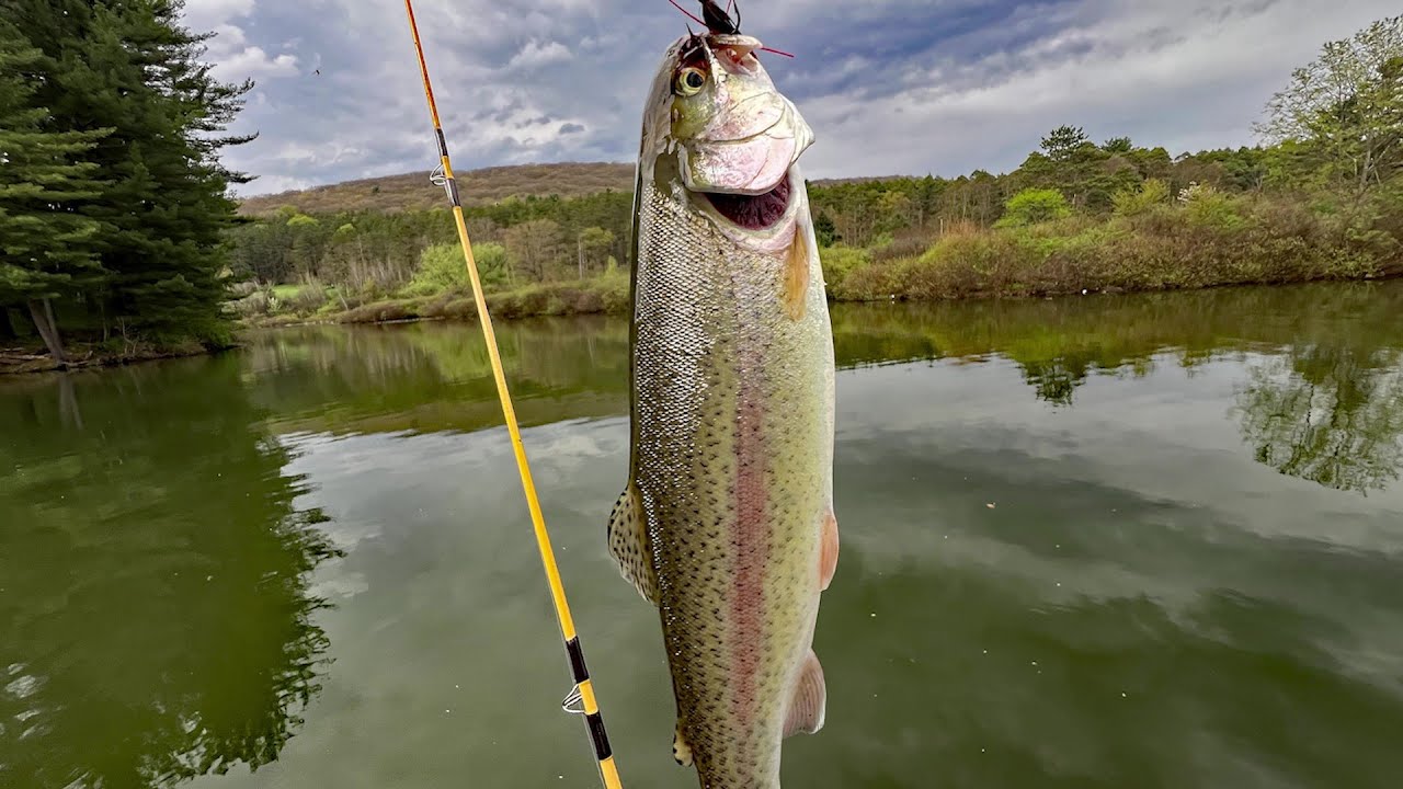 Turkey Morning Trout Afternoon part one - YouTube