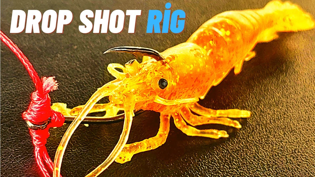 Best Drop Shot Rig - How to Tie a Drop Shot Rig - Bass Fishing Rigs ...