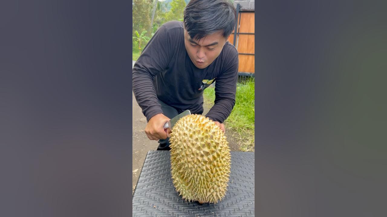 Durian montong berat 5,5 kilo #doniartawan - YouTube
