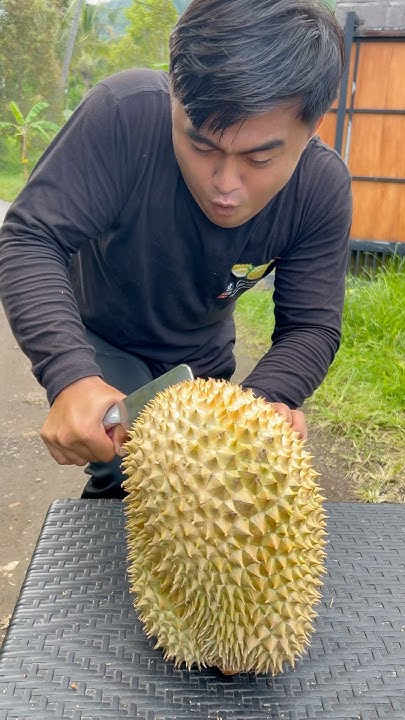 Durian montong berat 5,5 kilo #doniartawan - YouTube