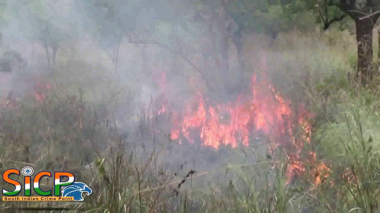 Forest fire in Dindigul sirumalai forest - YouTube