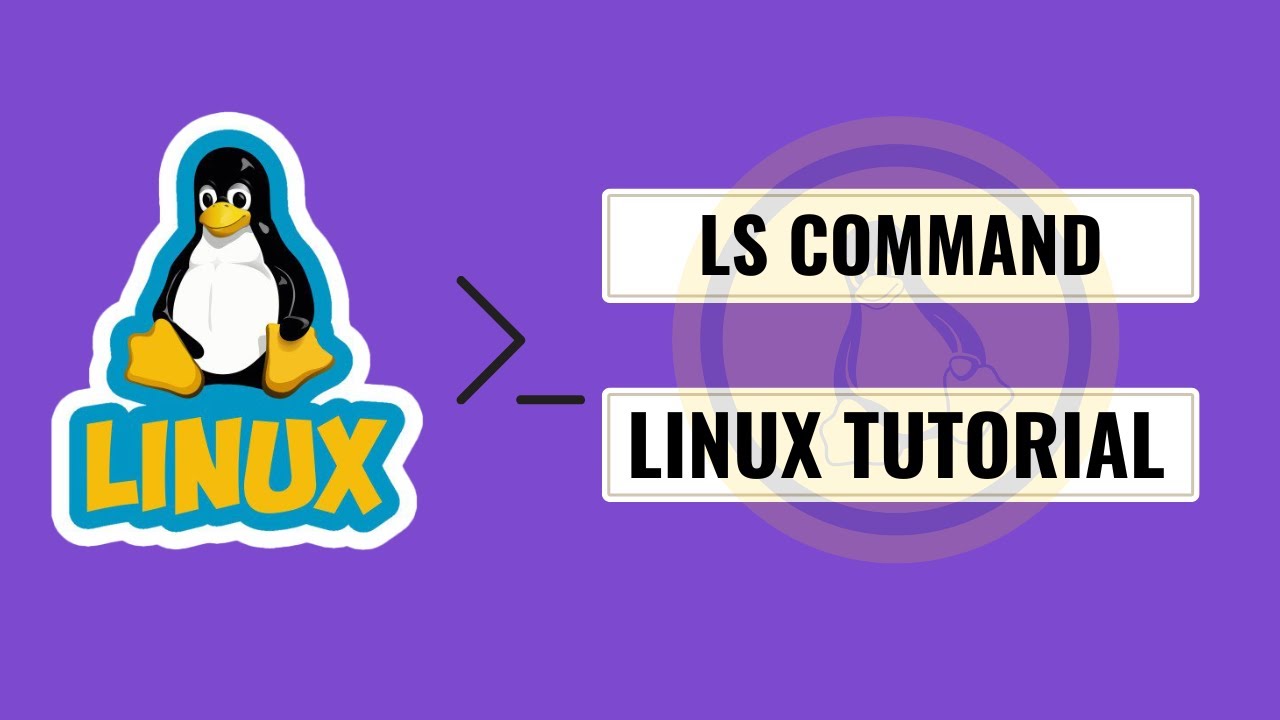 Ls Command In Linux Linux Bangla Tutorial For Beginners Youtube 5636