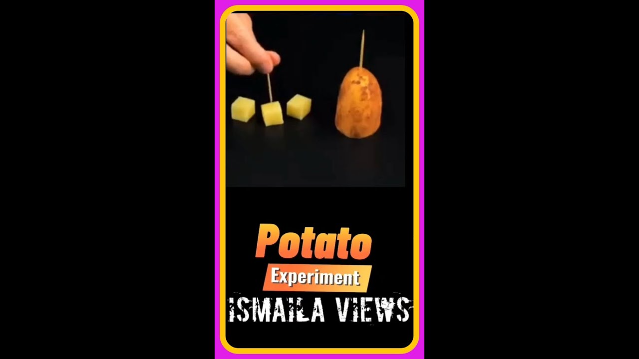 Potato toothpick balancing experiment 😱 #shortsfeed #shorts #trending # ...