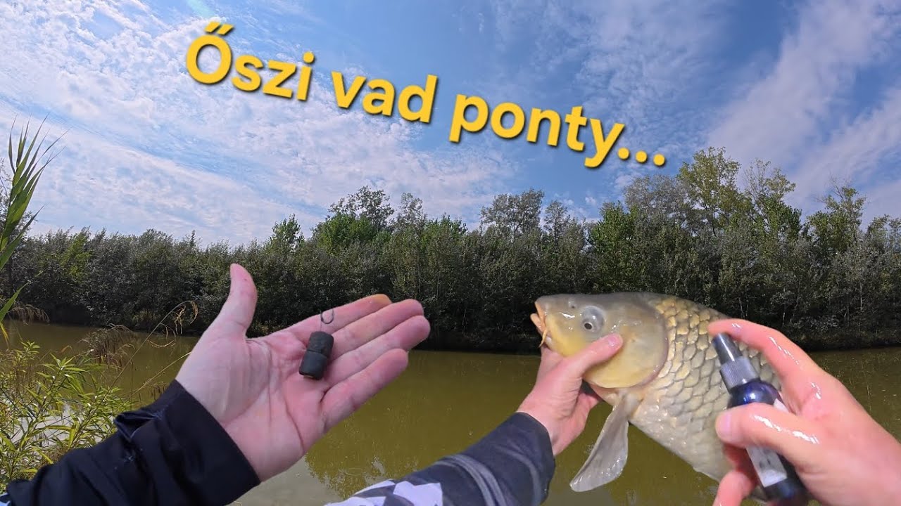 Vadvízi horgászat.Nyurga ponty éjszaka,szeptember végén. #fishing # ...