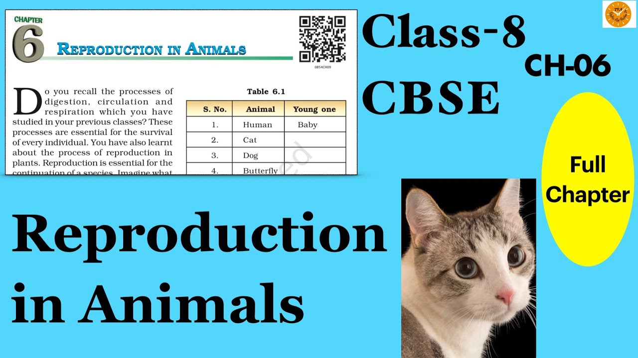 Reproduction in Animals | Class-8 | Science | Chapter-06| NCERT - YouTube