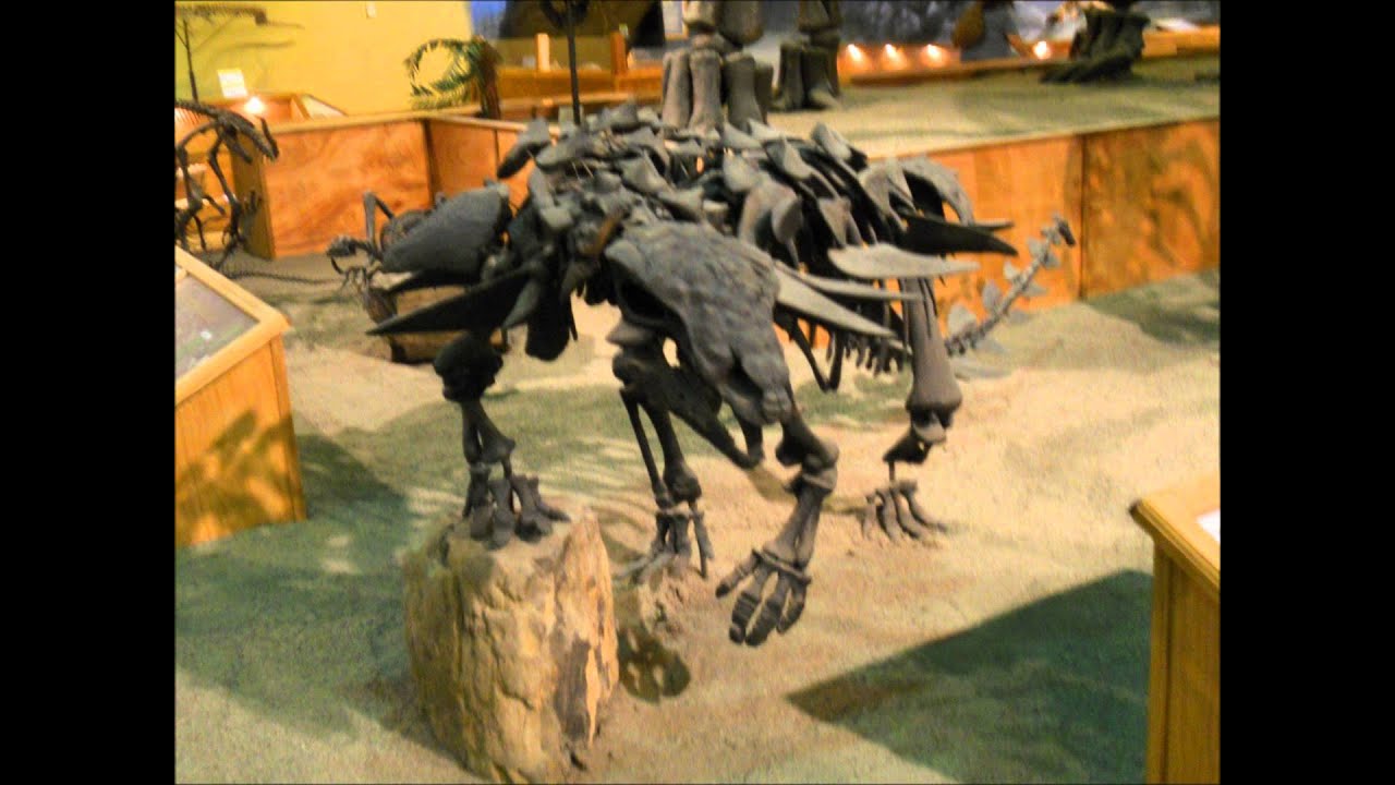 Yellowstone Trip and Places Along the Way Part 6 Wyoming Dinosaur ...